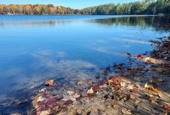 Northern WI Property - Lake Real Estate, Wooded Land - Wisconsin Lakes ...