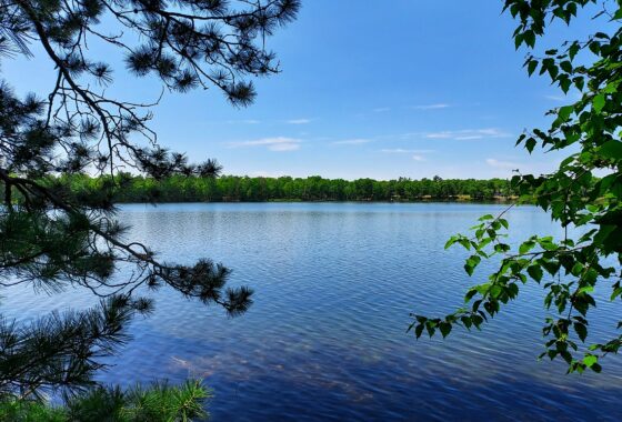 Northern WI Property - Lake Real Estate, Wooded Land - Wisconsin Lakes ...